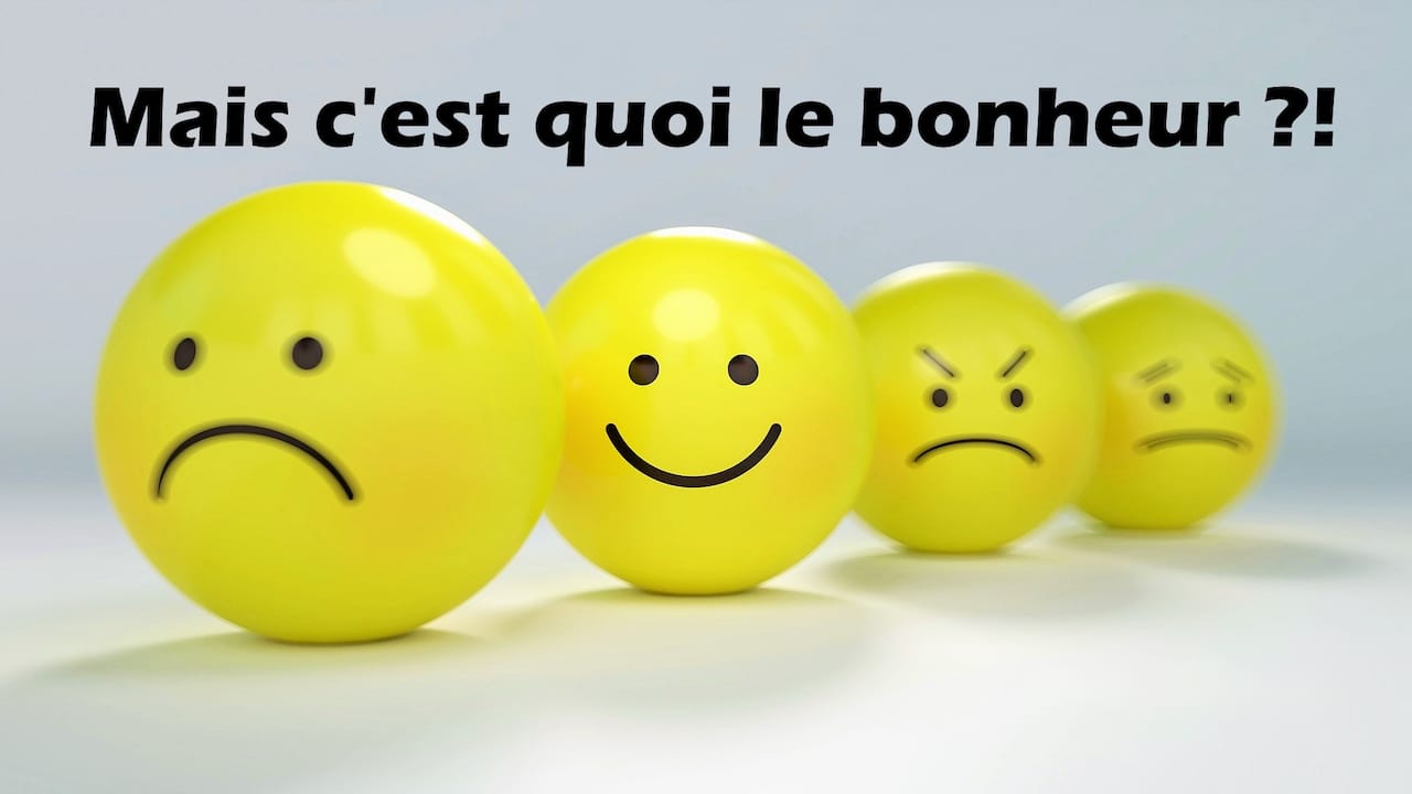 Le bonheur est un concept difficile à définir. - Petite République.com