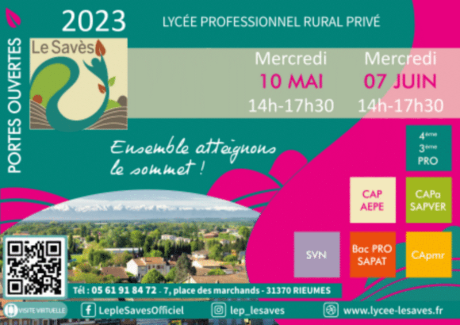 Affiche SAVES - Petite République.com