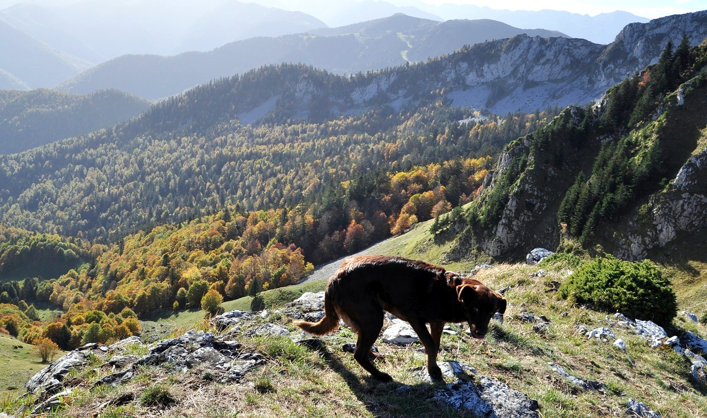 Tourisme randonnée : Le Cagire par la cabane de Larreix - Petite ...