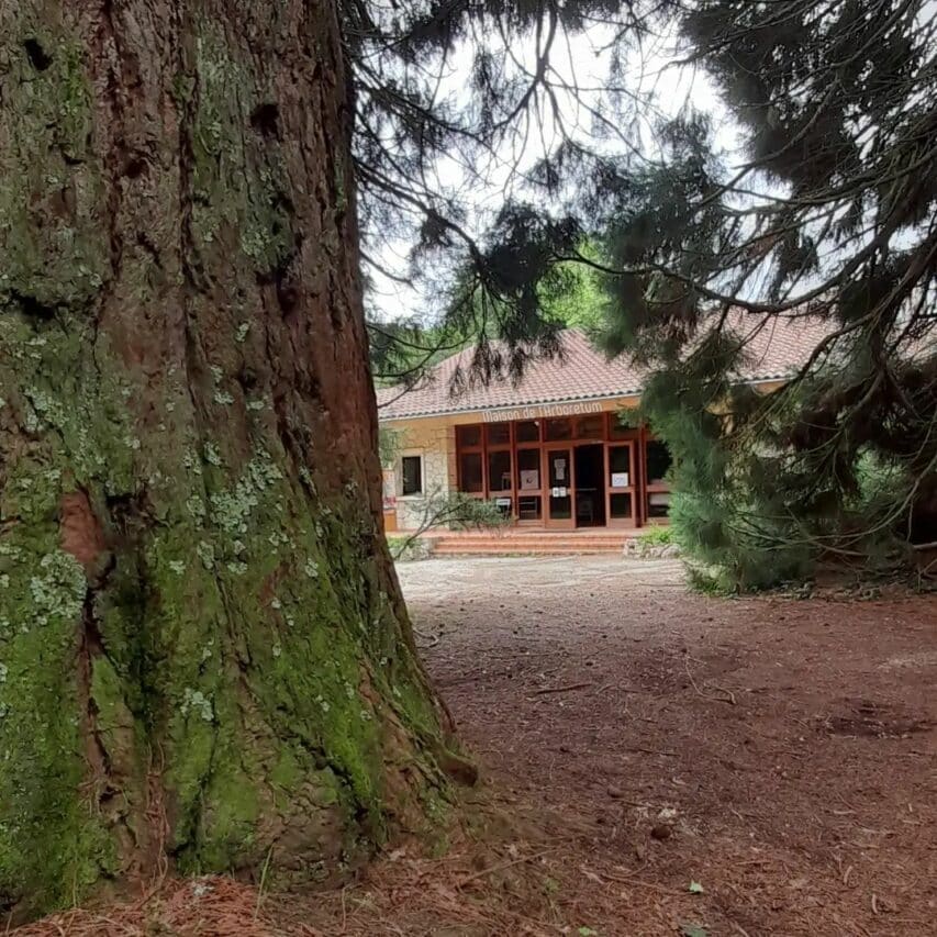 Arboretum de Cardeilhac : Balades hebdomadaires dans la forêt - Petite République.com