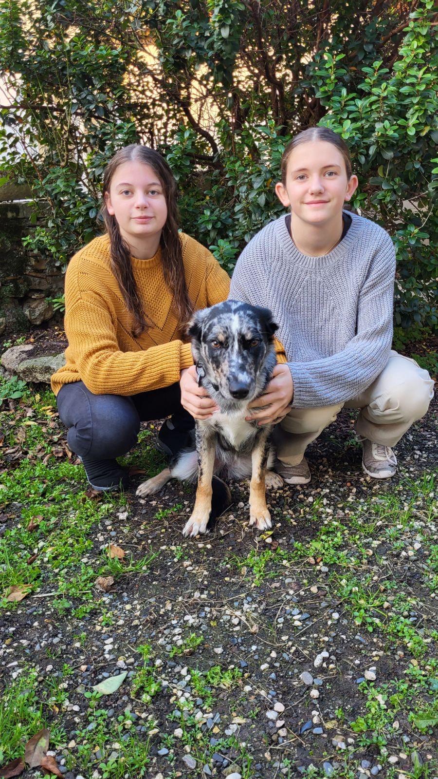 dog agility marilou mélody - Petite République.com