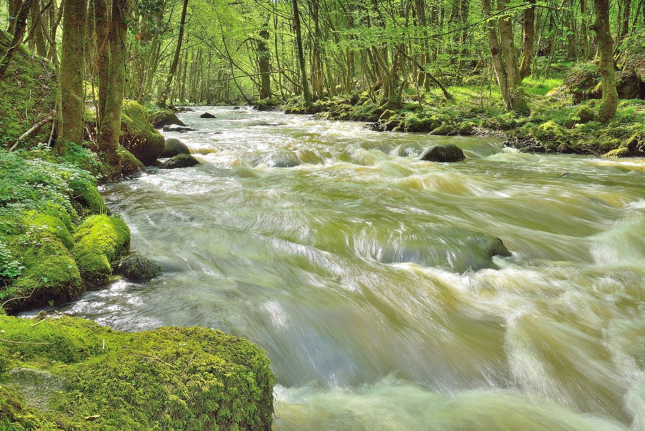 syndicat-sygesave-rivière-illustration - Petite République.com